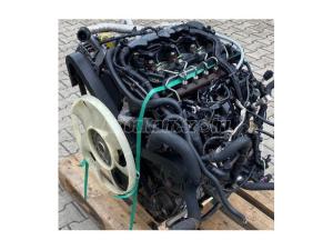FORD TRANSIT / CYR5 motor
